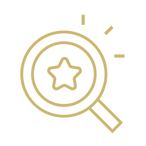 About Bright Wire Leadership | Our Purpose and Values